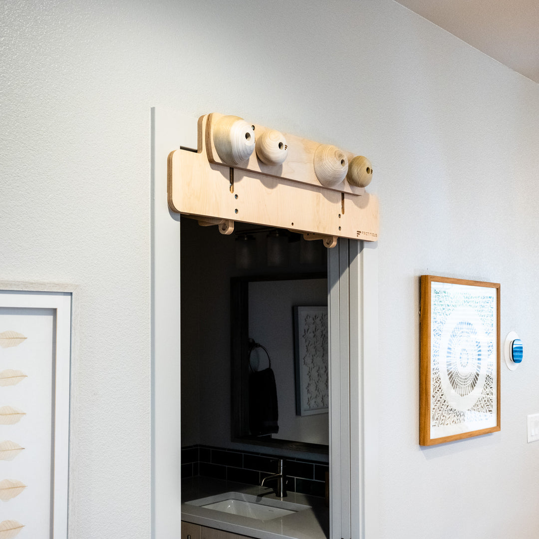 Tindeq Progressor 200 – Frictitious Climbing